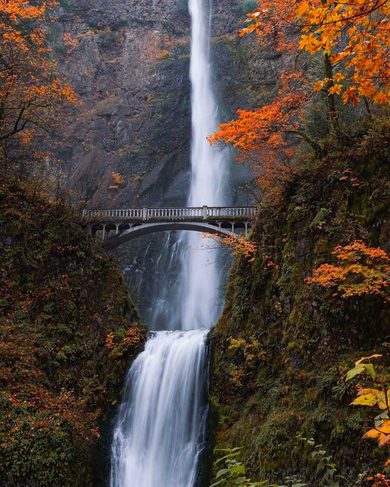 301 Moved Permanently