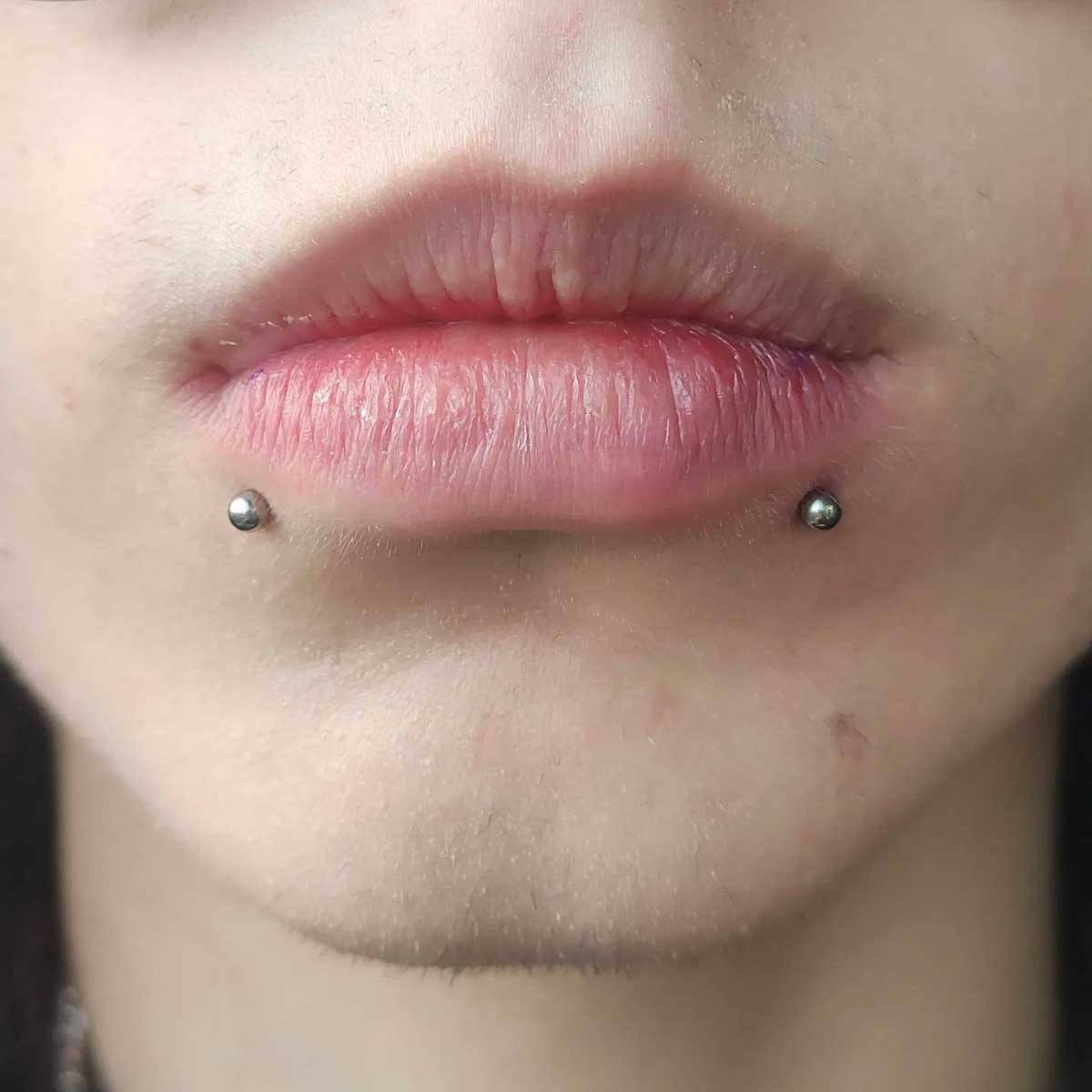 Snake Bites Piercing Guide, Pain, Cost, Healing, Aftercare