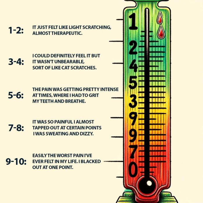 Tattoo Pain Chart, Visual Guide to What Hurts Most