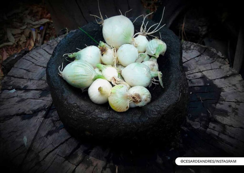 Cambray Onion: Nutrition, Benefits, and Cooking Tips