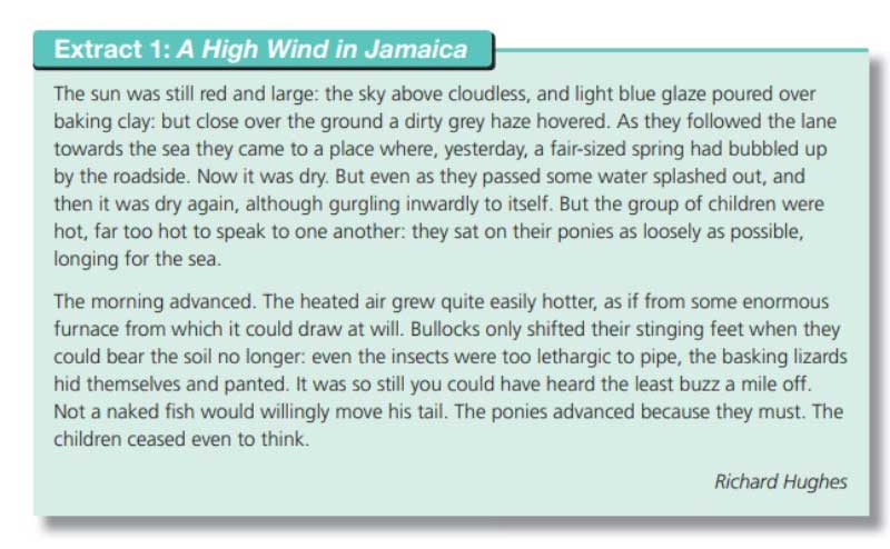 The Art of Descriptive Essay Composition - From Imagery to Impact
