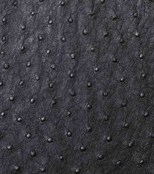 Fashion Forward: The Most Popular Types of Exotic Leather
